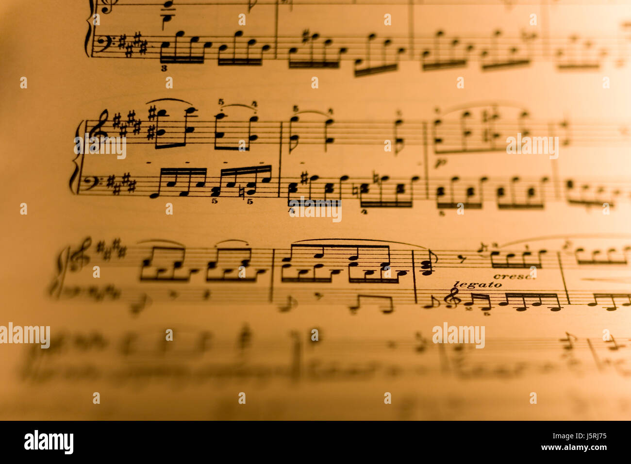 music sound musical composition classical notes composer vote clef ...