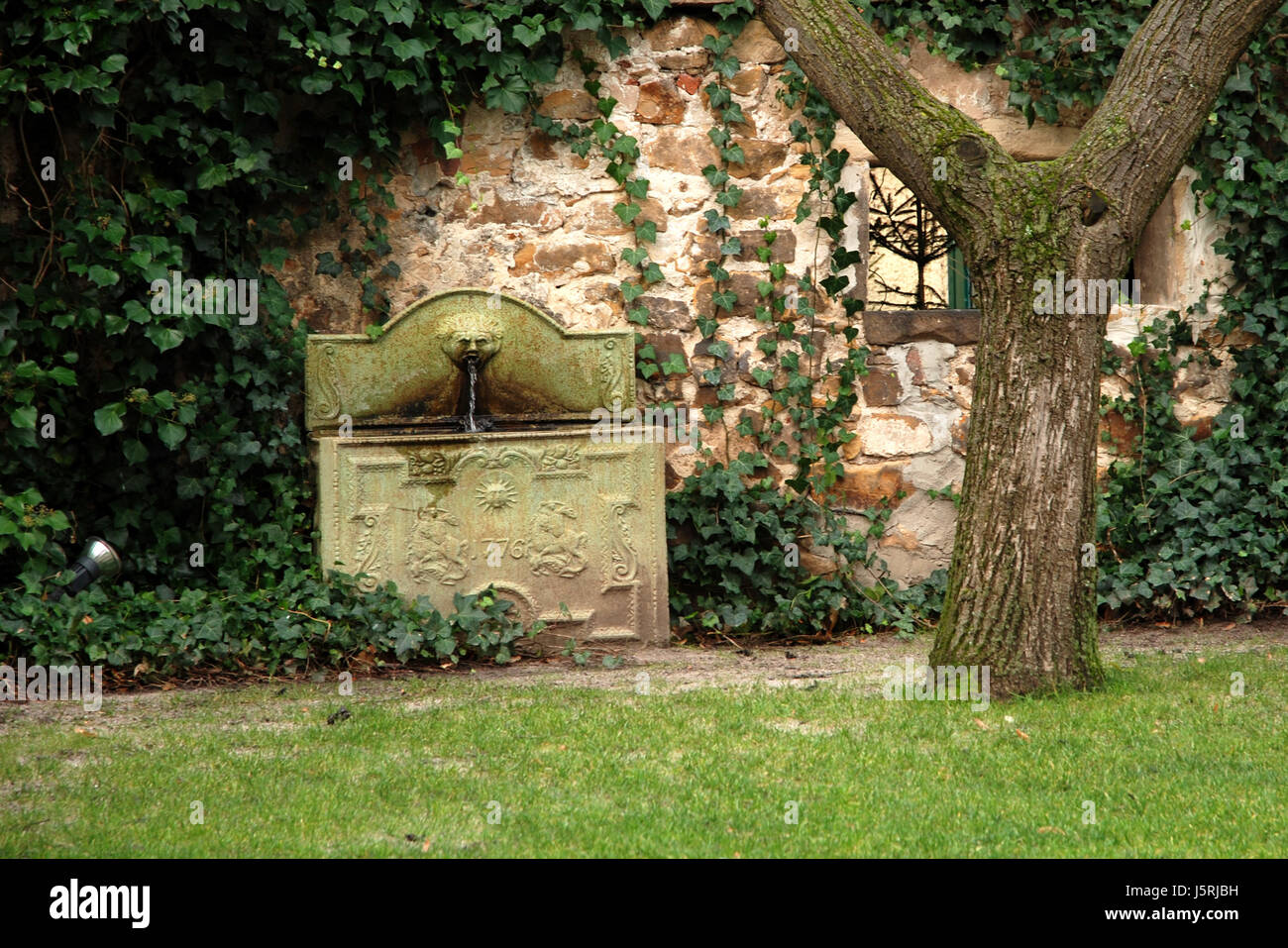 leaf tree garden window porthole dormer window pane leaves wall letters ...