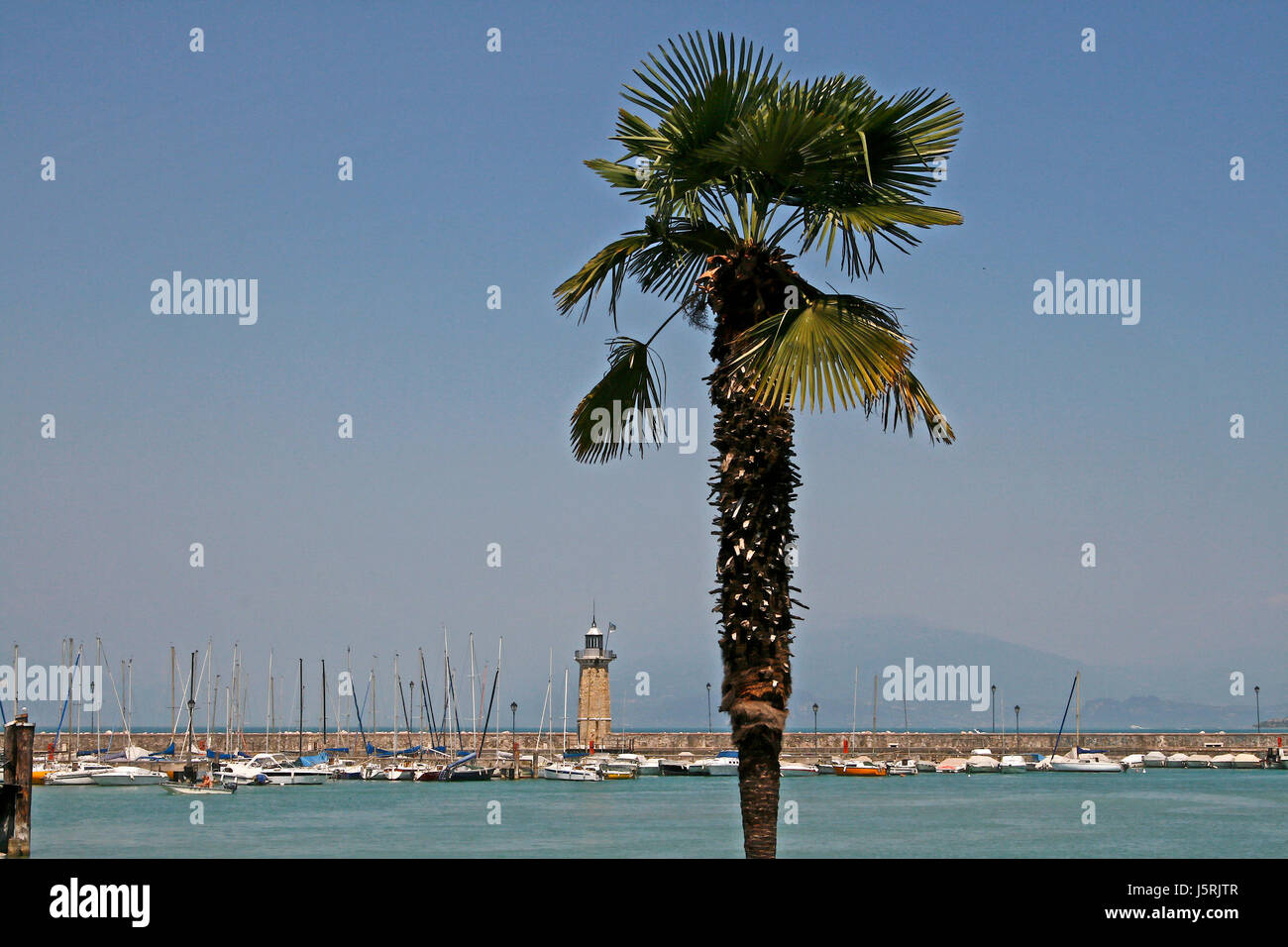 tree trees boats sailing boat sailboat rowing boat boat watercraft ...
