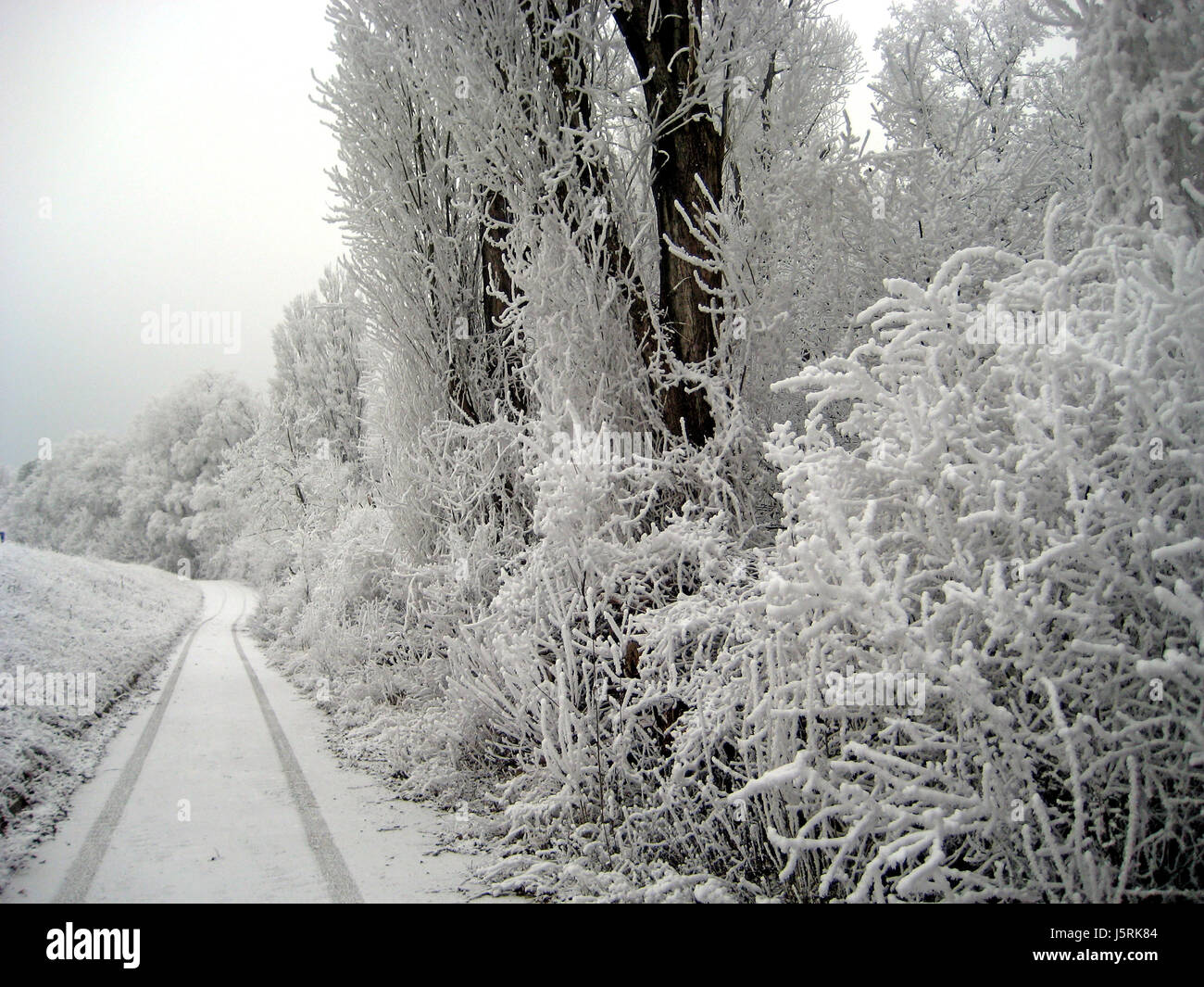 Ehrwrdig frost hi-res stock photography and images - Alamy