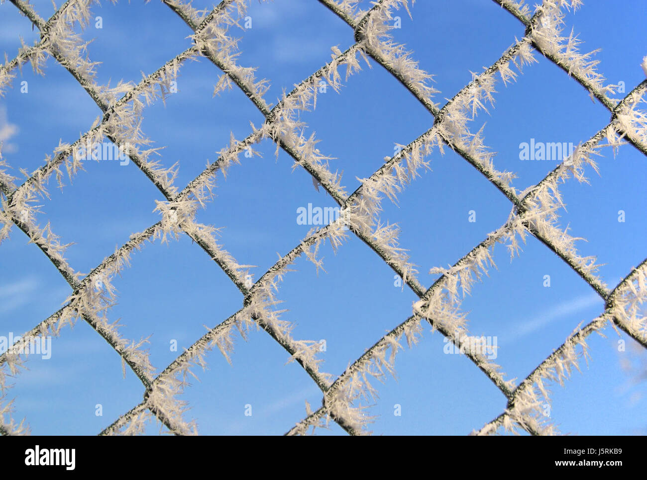 blue detail winter cold blank european caucasian ripe iron ice frost ...