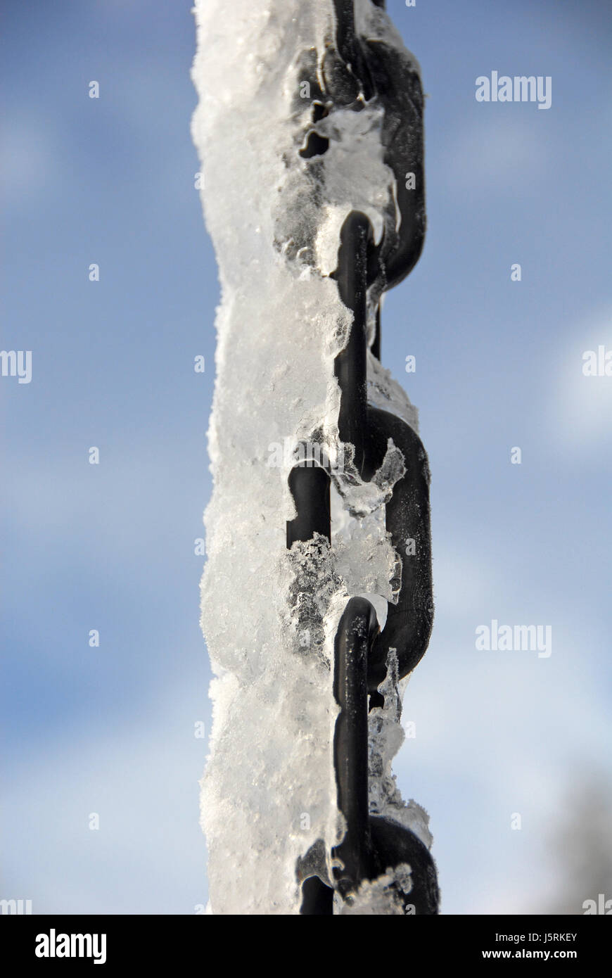 Frozen limbs hi-res stock photography and images - Alamy