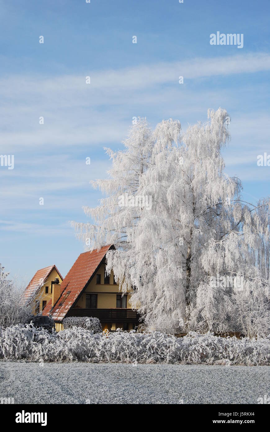 house building home dwelling house residential building tree trees ...