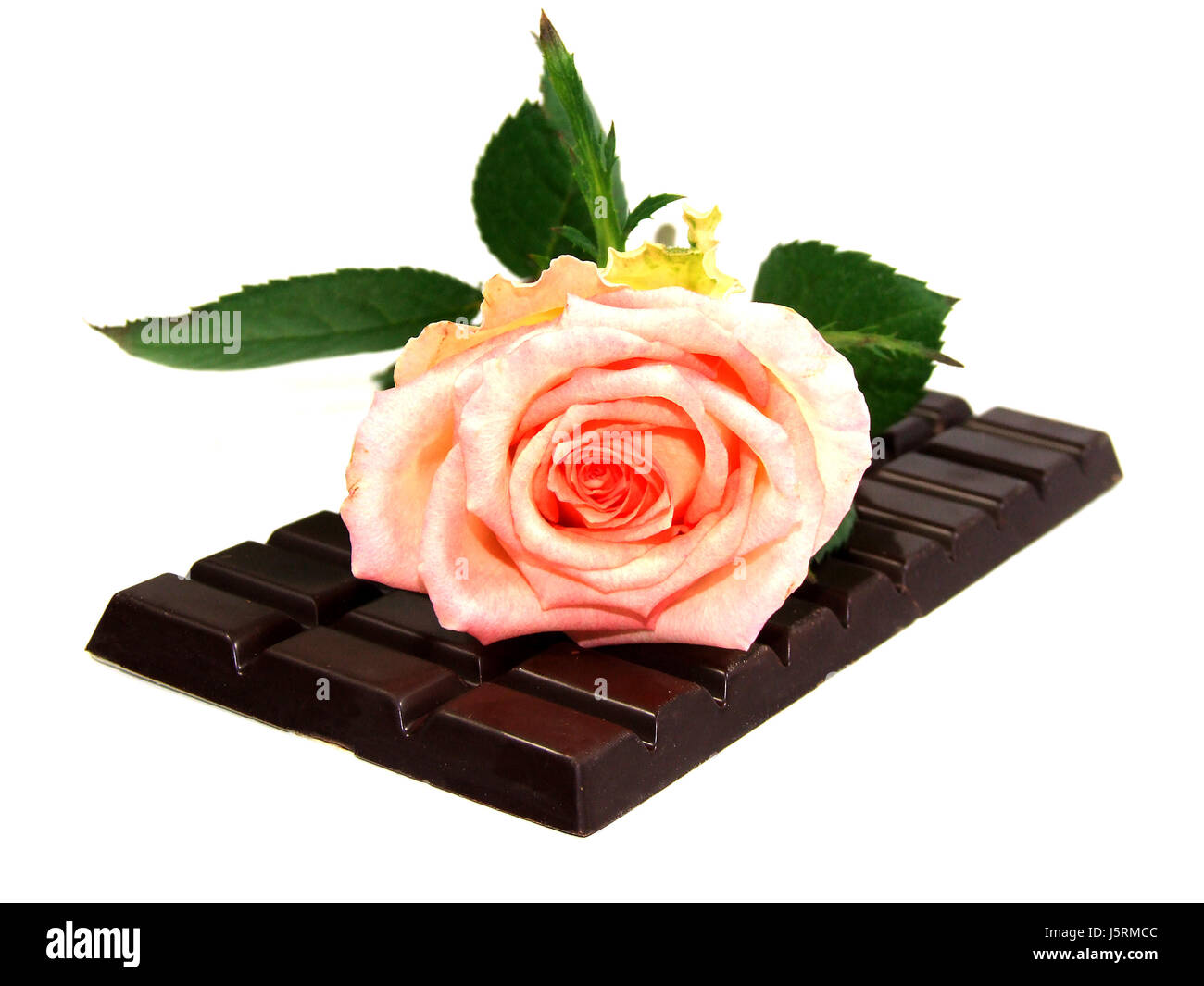 nibble flower rose plant valentines day noble seduction valentin ...