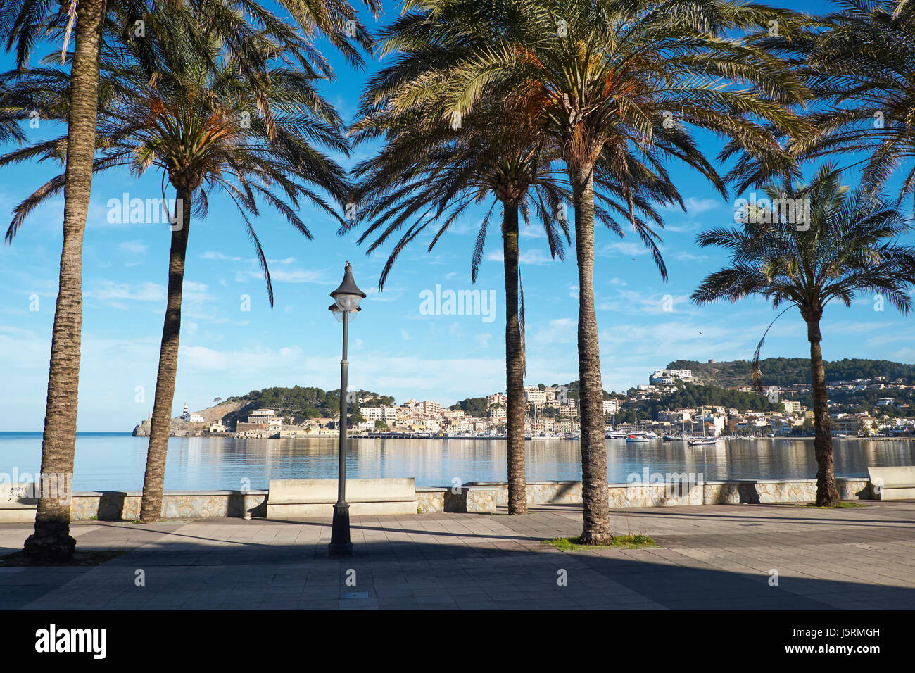 palms on the beach promenade Port Sóller,Mallorca,Spanien Stock Photo ...