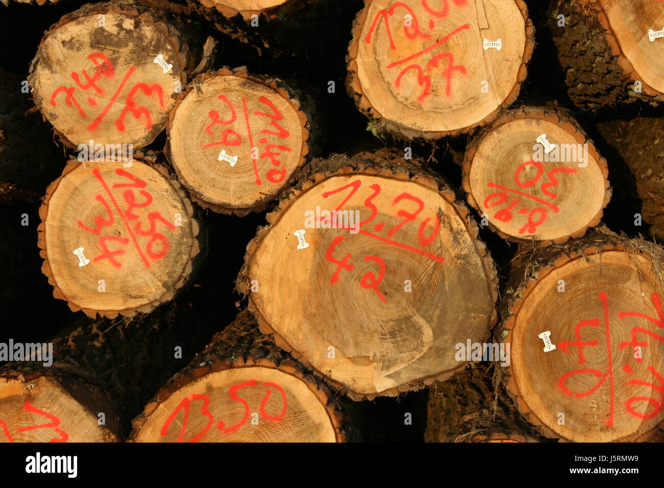 tree trees wood tribes drop stack tear down identification identified ...