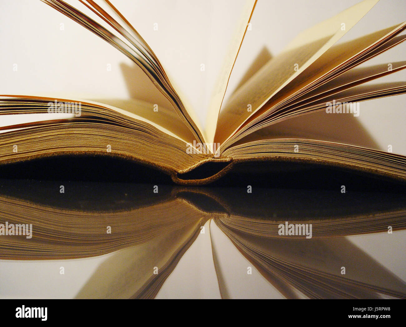 still life prose cover browse poet book pages second-hand bookshop seal ...