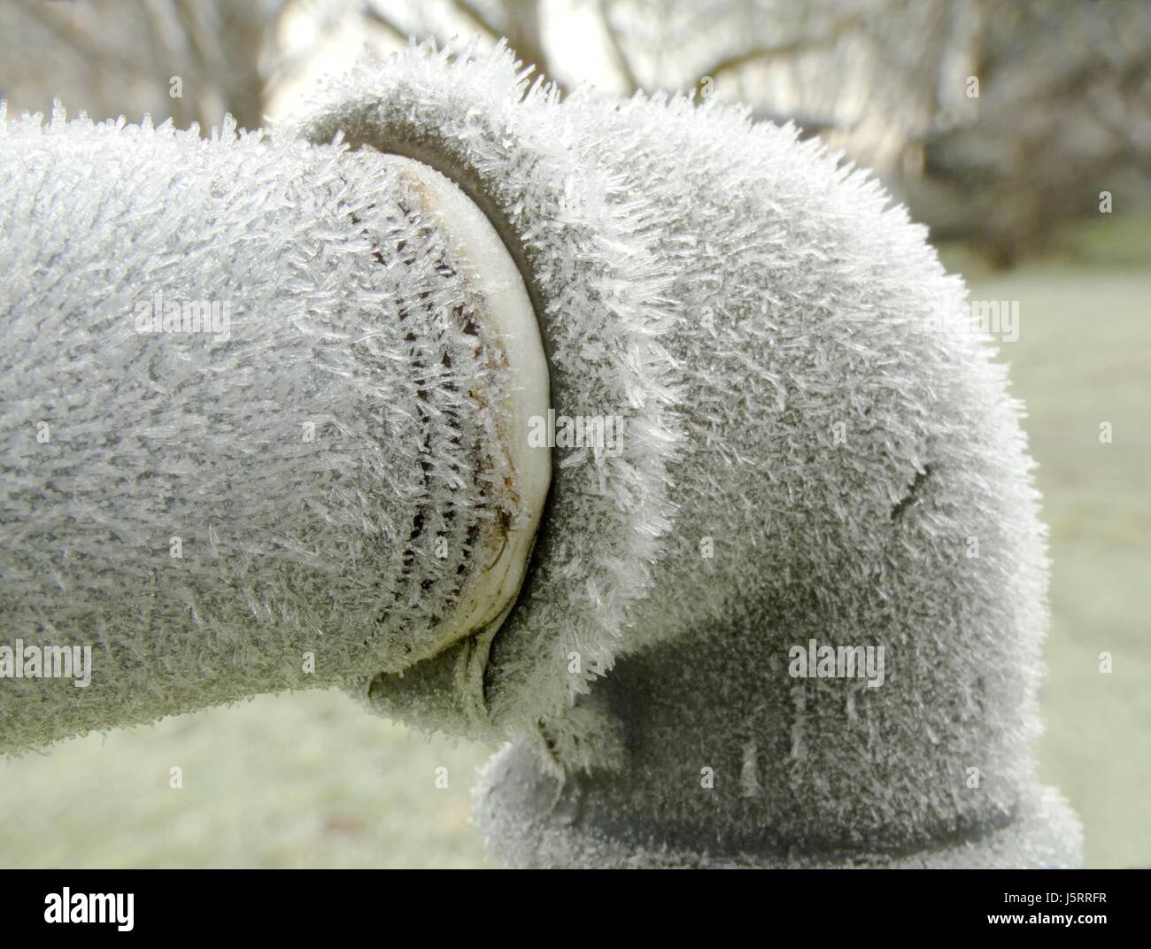 the cold season Stock Photo - Alamy