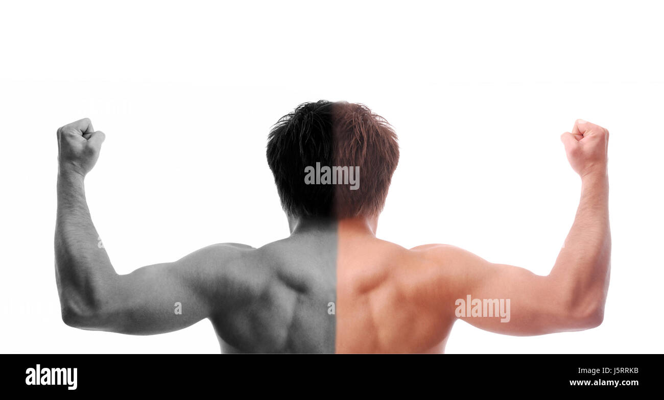 humans human beings people folk persons human human being men man ...