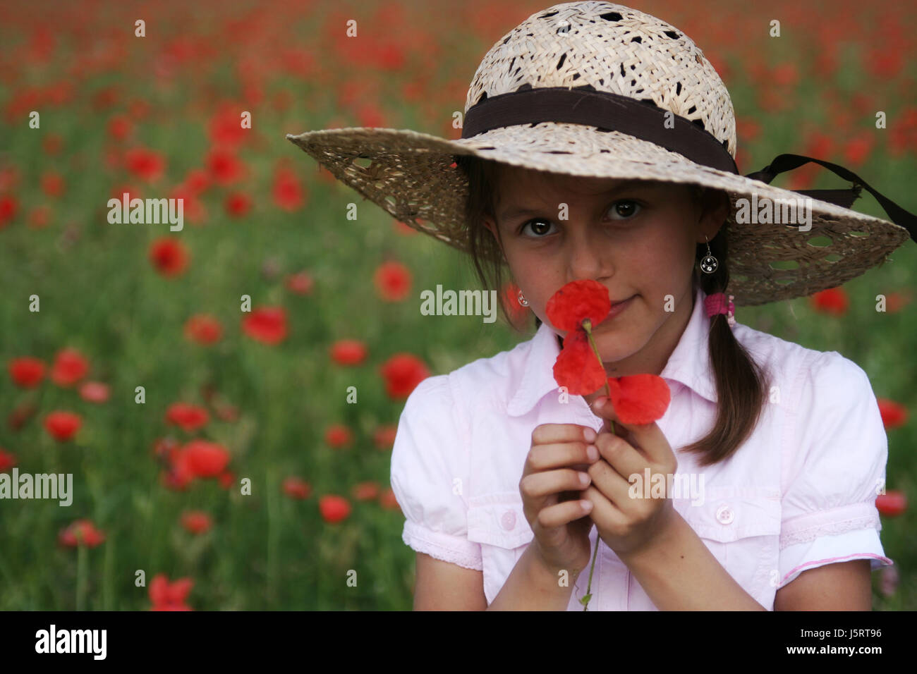 shining eyes of children in the poppy field Stock Photo - Alamy