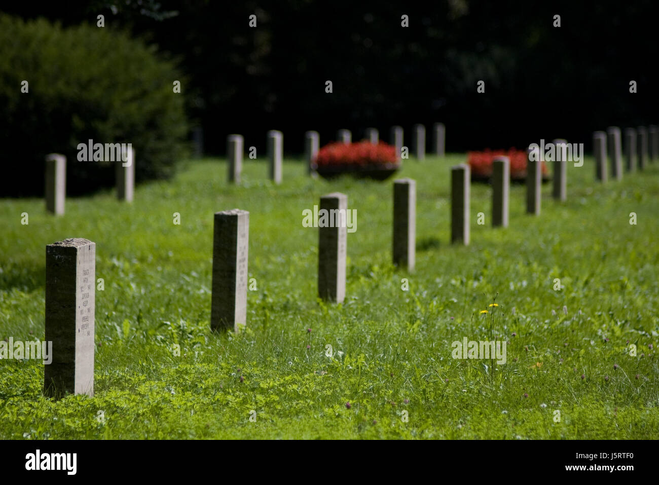 Russian soldier cemetery hi-res stock photography and images - Alamy