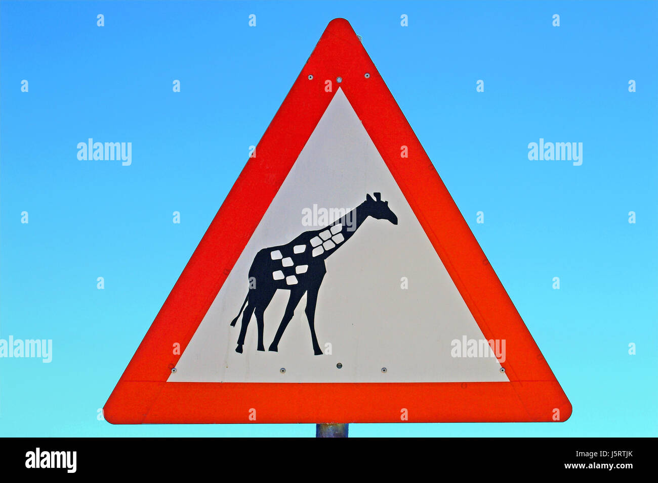 sign signal traffic transportation africa namibia road traffic to watch ...