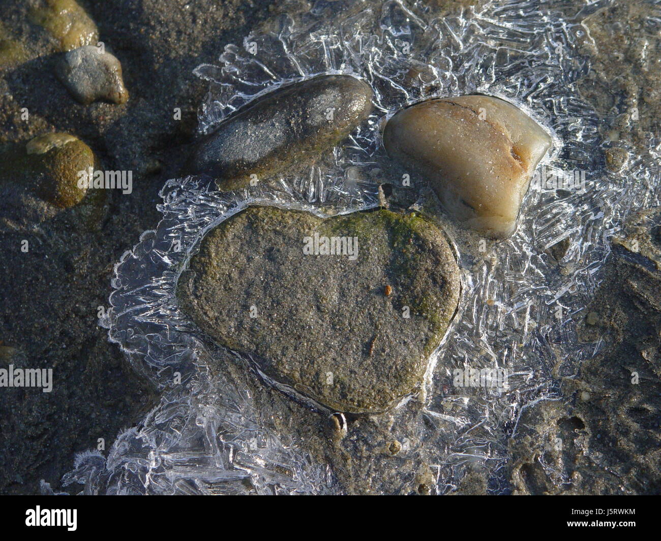 stone winter cold ice affection icy love in love fell in love emotion ...