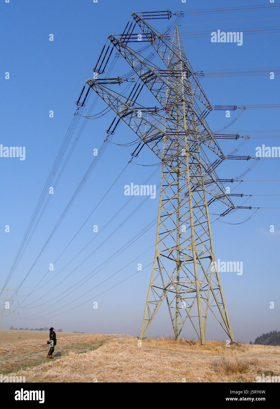 on power pole Stock Photo - Alamy