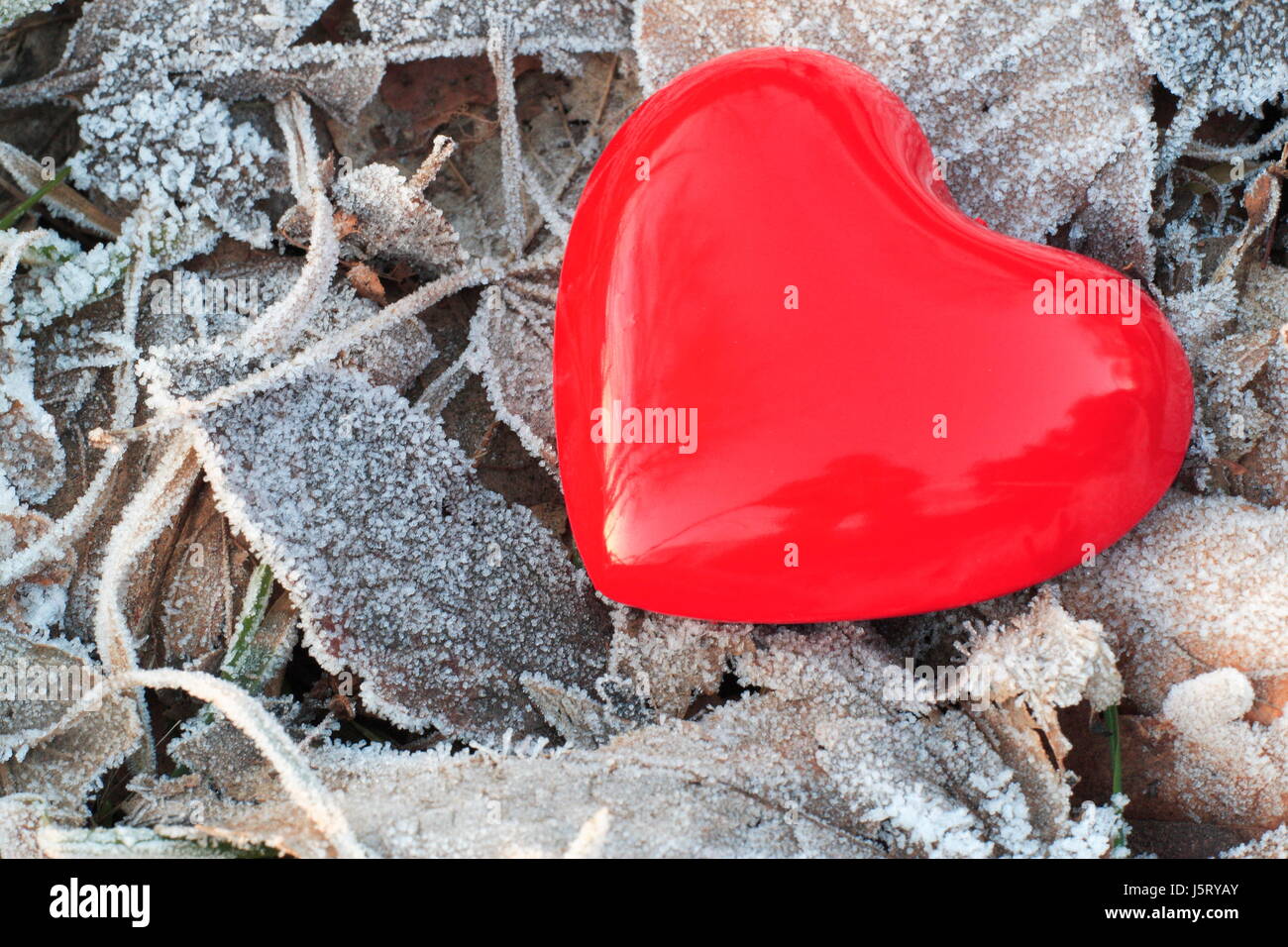 Cold heart hi-res stock photography and images - Alamy