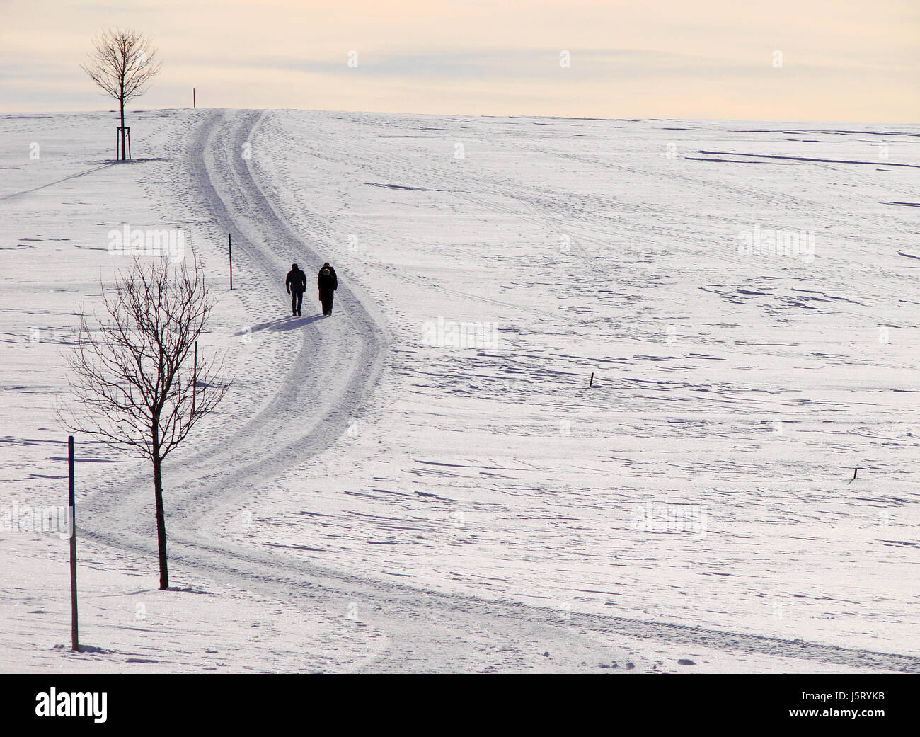 humans human beings people folk persons human human being walk go going ...