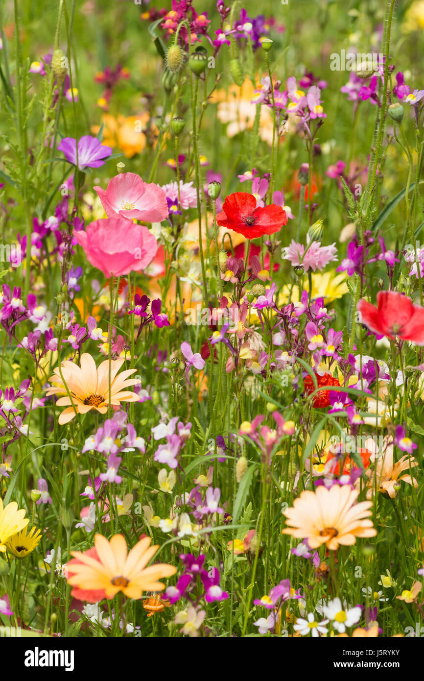 Striking effect hi-res stock photography and images - Alamy