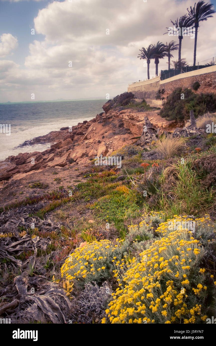Wild flowers on the cliff side and rocks along the shoreline of ...