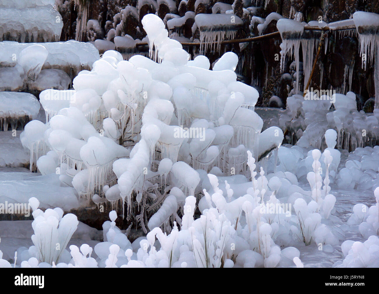 winter wood cold blank european caucasian tribes ice frost frozen ...