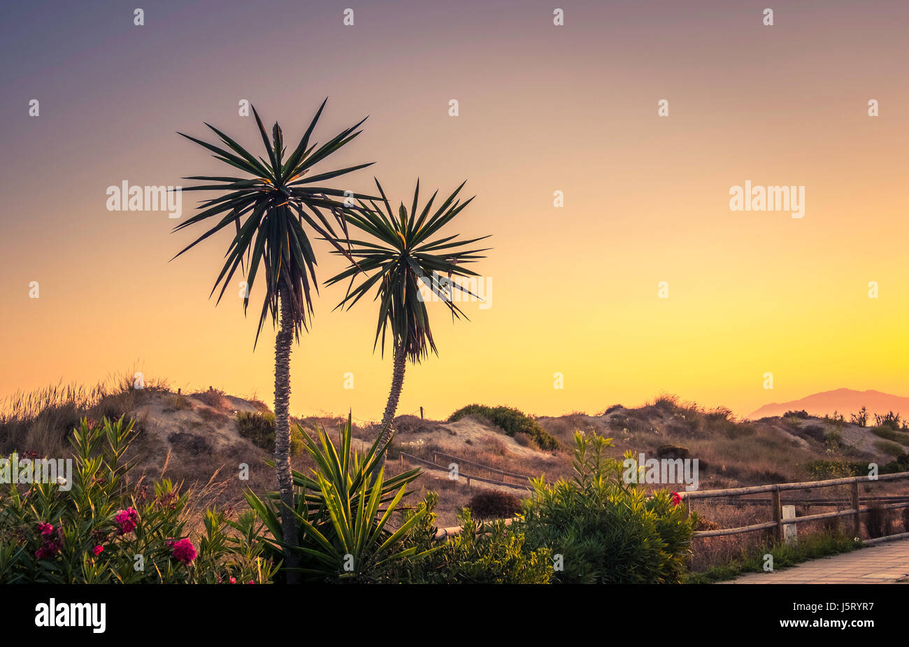 Marbella spain hi-res stock photography and images - Alamy