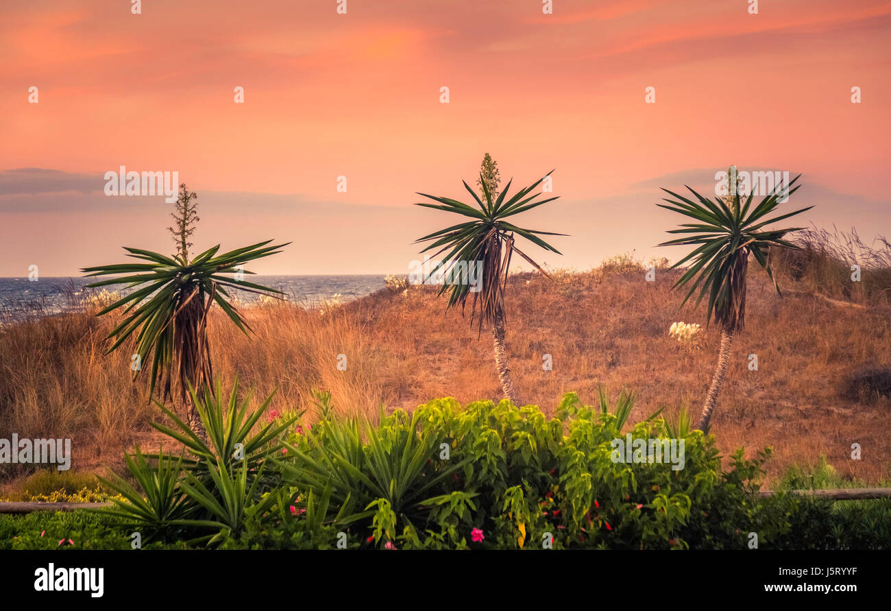 Marbella landscape hi-res stock photography and images - Alamy