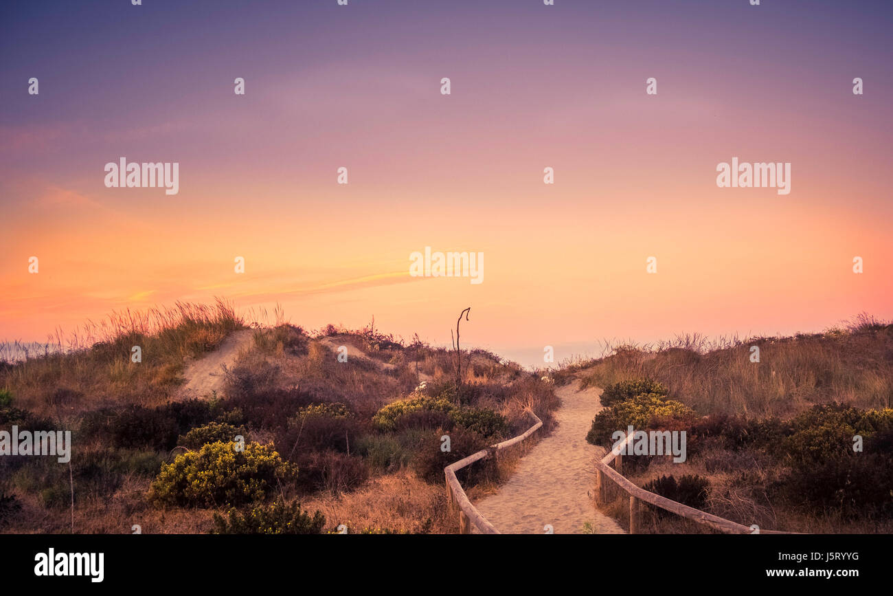 Elviria Marbella High Resolution Stock Photography and Images - Alamy