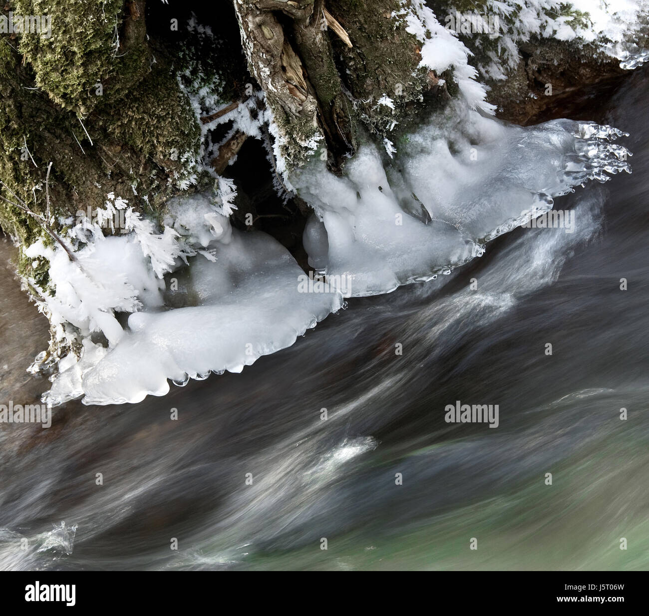 winter green cold ice moss icy ice cube current of the river snow river ...
