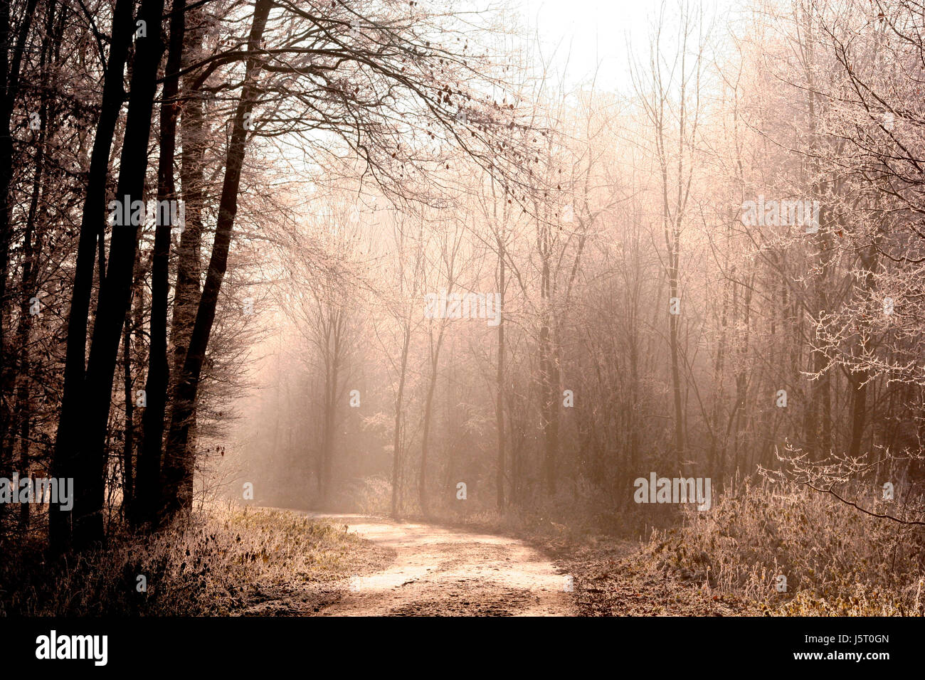 The unknown road hi-res stock photography and images - Alamy