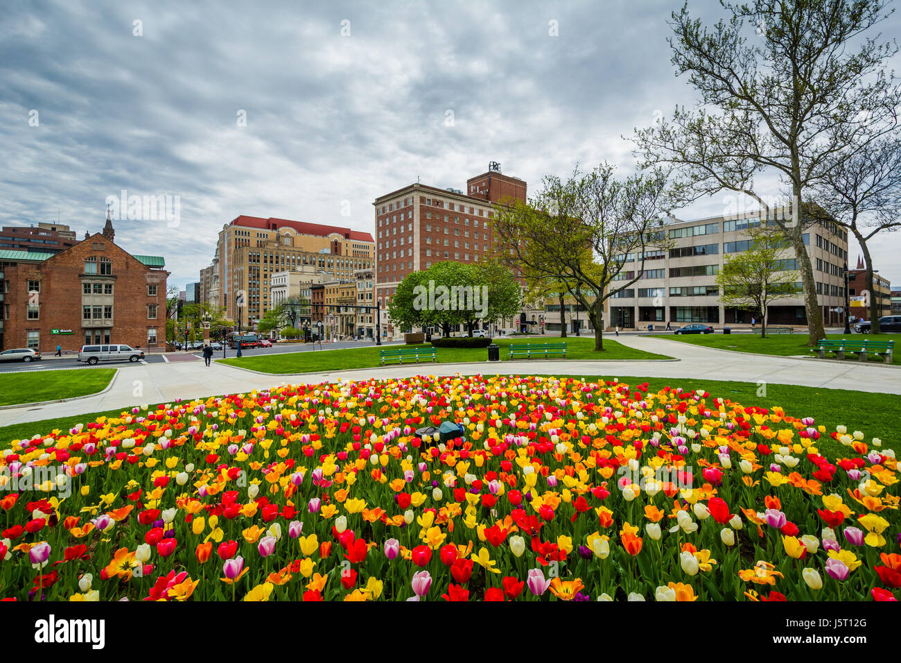 Albany scenery hi-res stock photography and images - Alamy