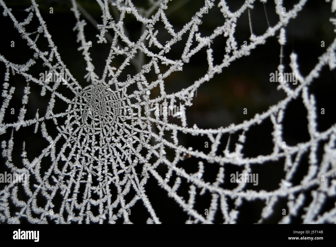 Frozen threads hi-res stock photography and images - Alamy