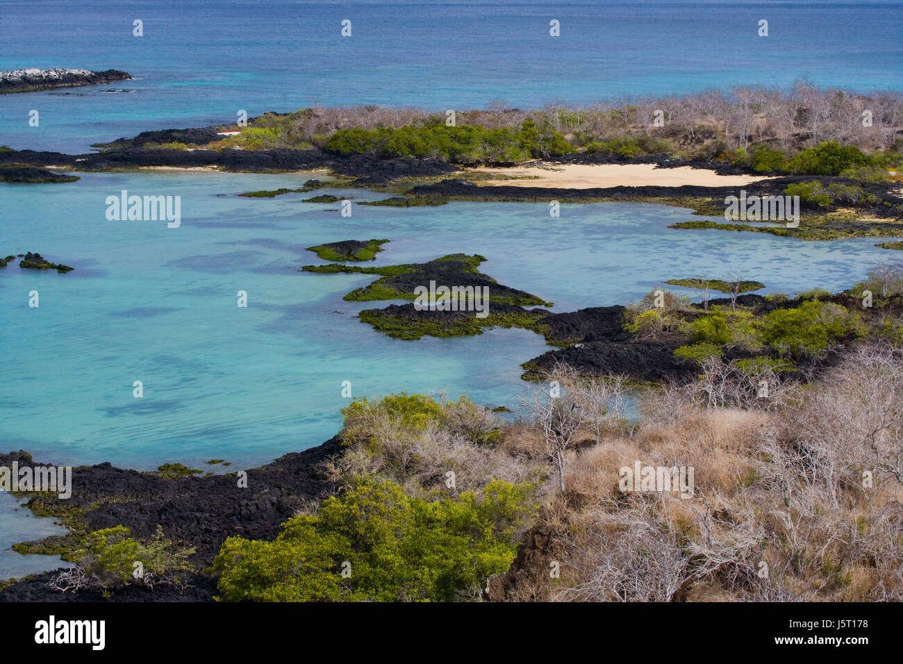 Galápagos landscape animals hi-res stock photography and images - Alamy