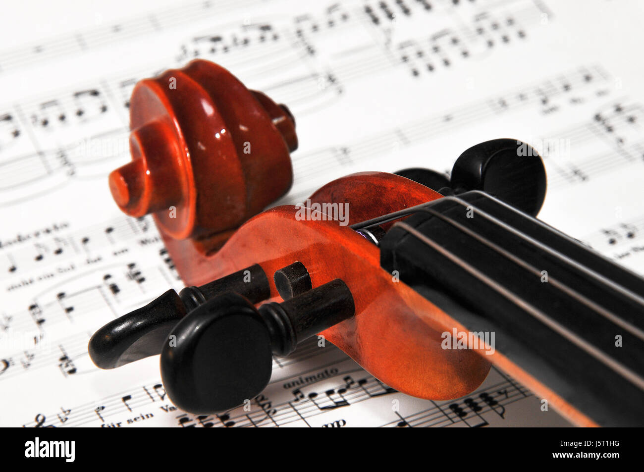 music musical instrument snail violin bowed instrument notes stringed ...