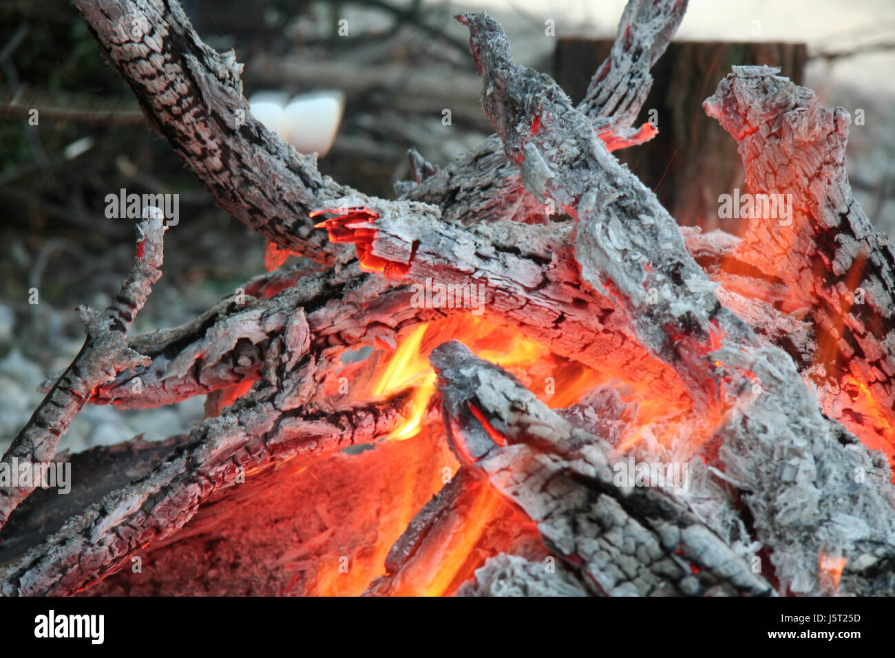 wood fire conflagration campfire heat solstice lumbers burnt burned ...