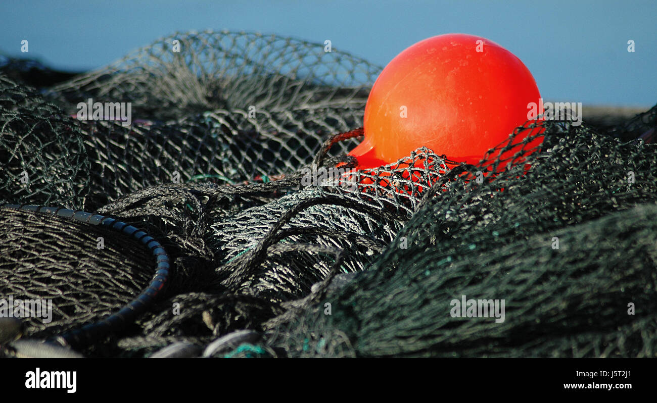 shine shines bright lucent light serene luminous work unit net fishery ...