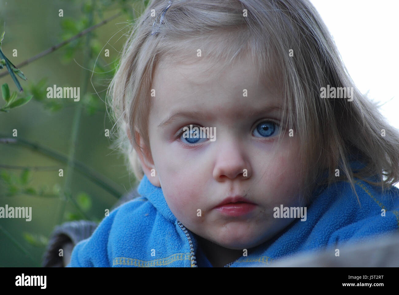 earnest look glancing see view looking peeking looking at small tiny ...