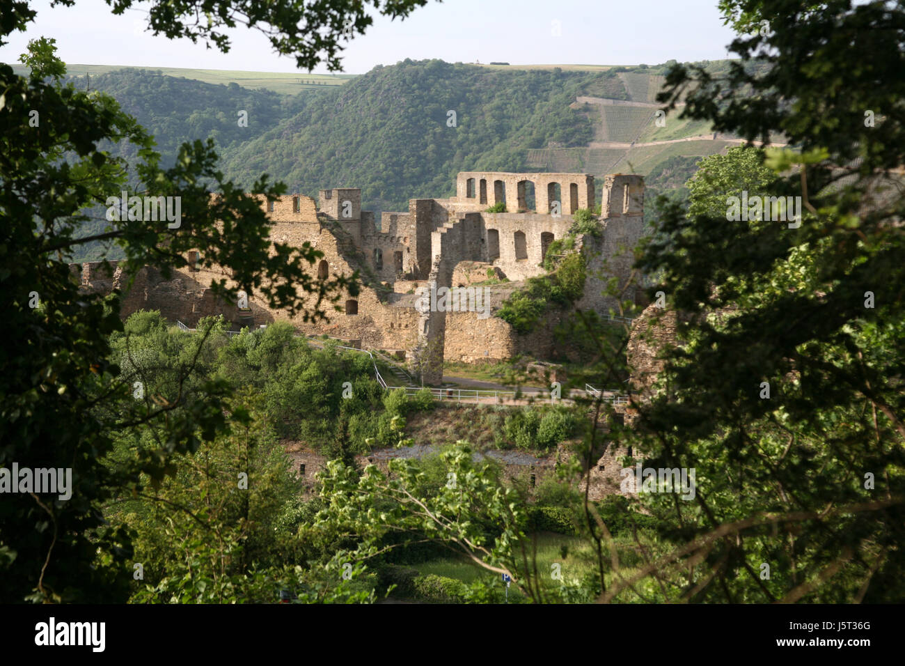 Rheinfels castle ruins hi-res stock photography and images - Alamy