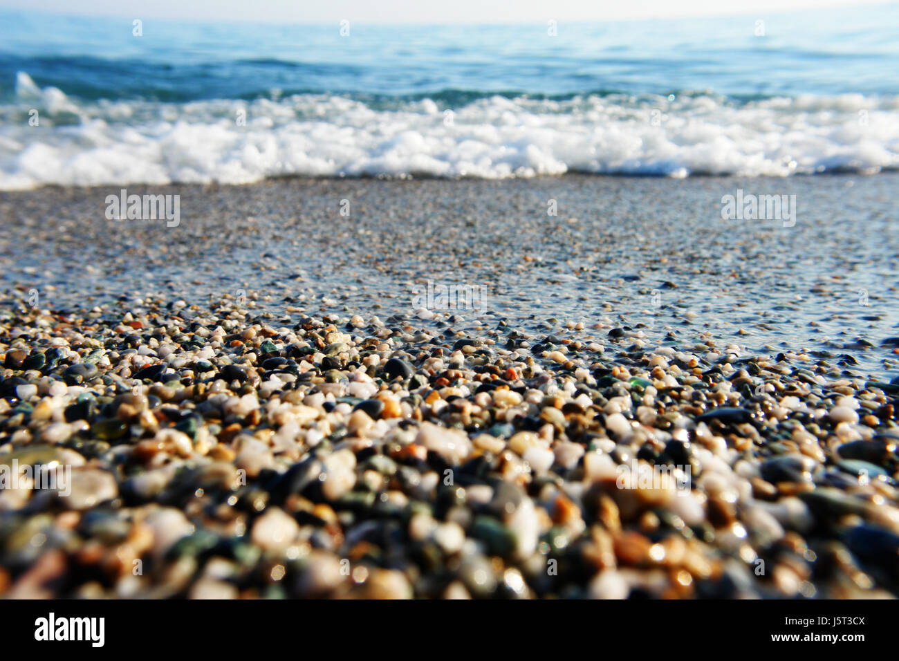 beach seaside the beach seashore gravel sandy beach salt water sea ...