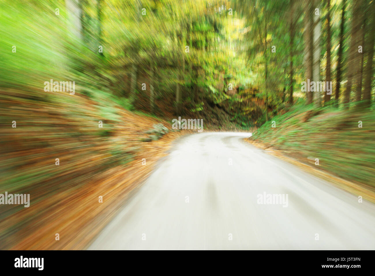 track bend serpentine curve of the road street road forest danger tree ...