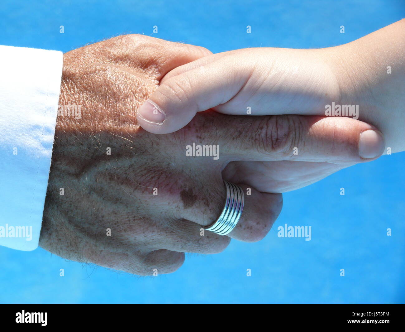 hand hands handshake greeting act performance present imagining woman ...
