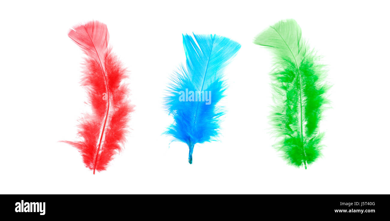 three colorful feathers Stock Photo - Alamy