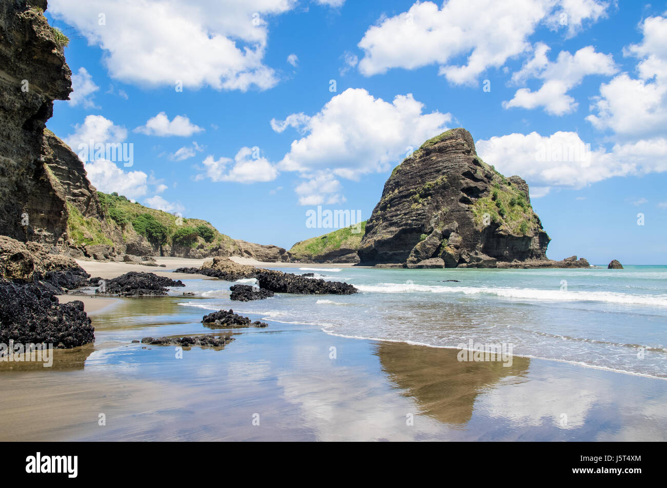Auckland west coast new zealand hi-res stock photography and images - Alamy