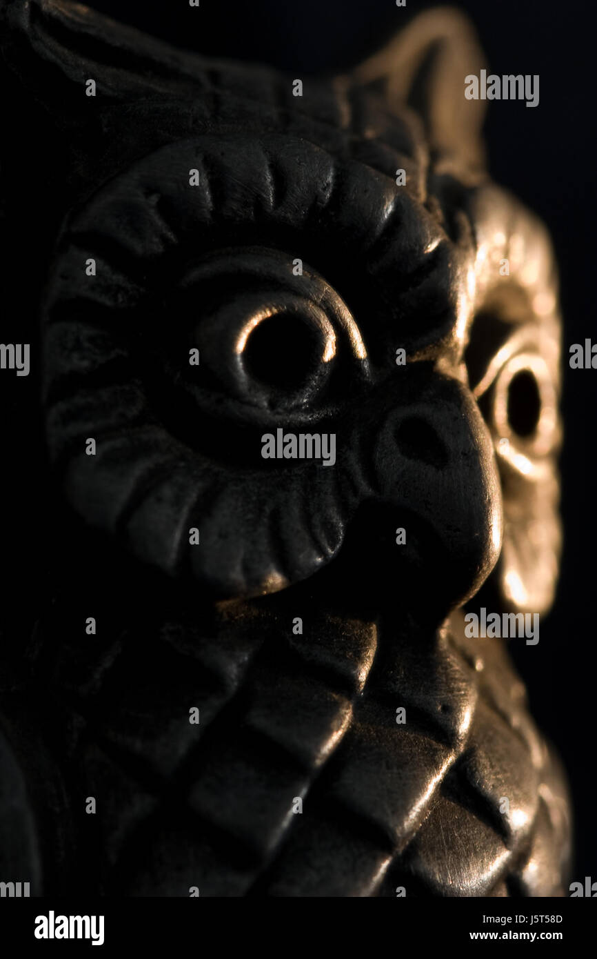 night owl vi Stock Photo - Alamy