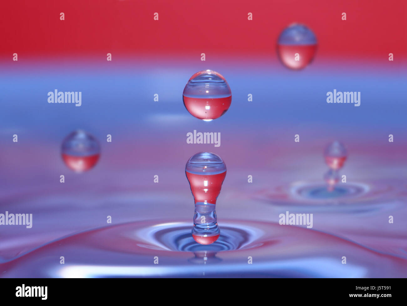 drops of water (5 Stock Photo - Alamy