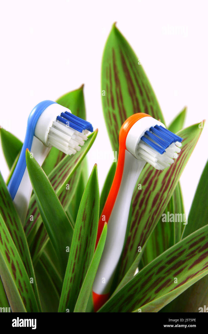 model design project concept plan draft brush hygiene toothbrush dental ...