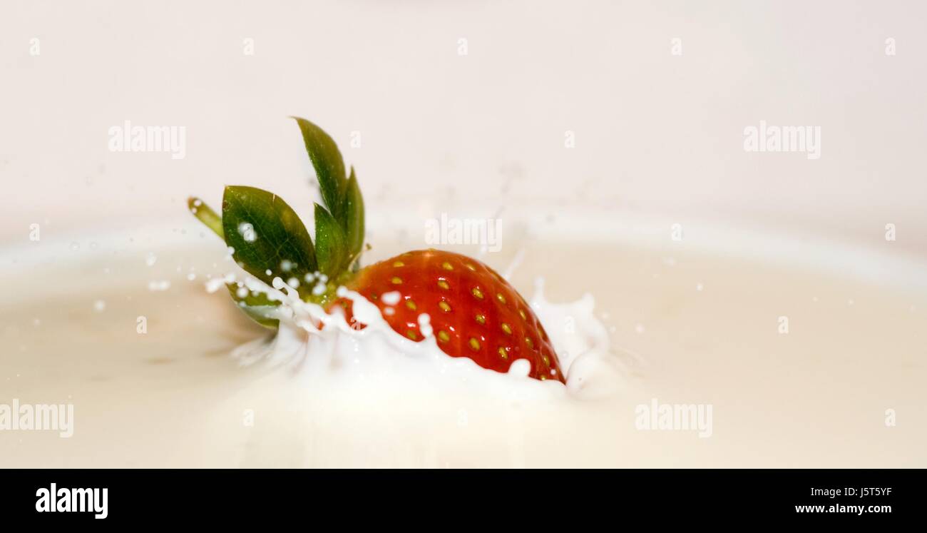 freshness milk strawberry milk shake drop drip drops seeping sopping ...