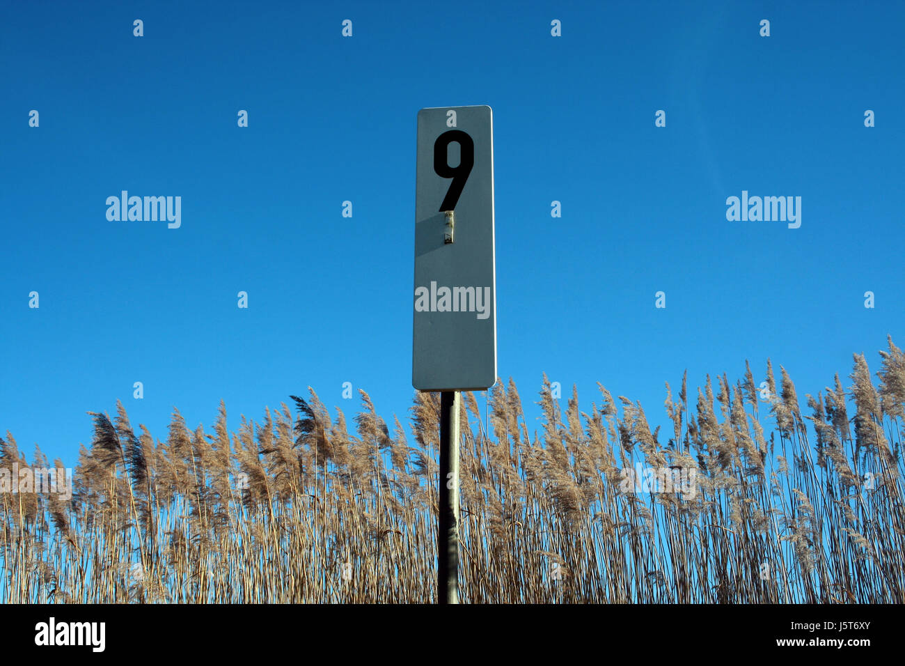 sign signal reed digit nine nature sign signal navigation pole marking ...