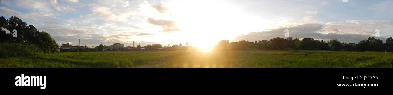 This image depicts the paddy fields, grasslands, and trees of Caingin ...