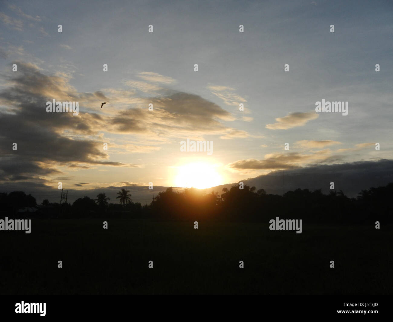 Major bridge hi-res stock photography and images - Alamy