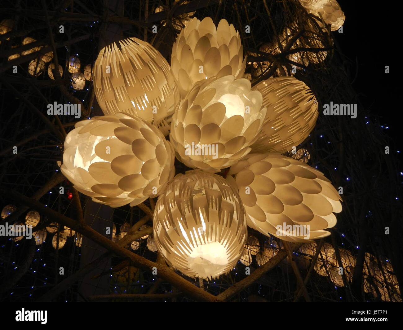 This image showcases the display of Christmas trees in Poblacion ...