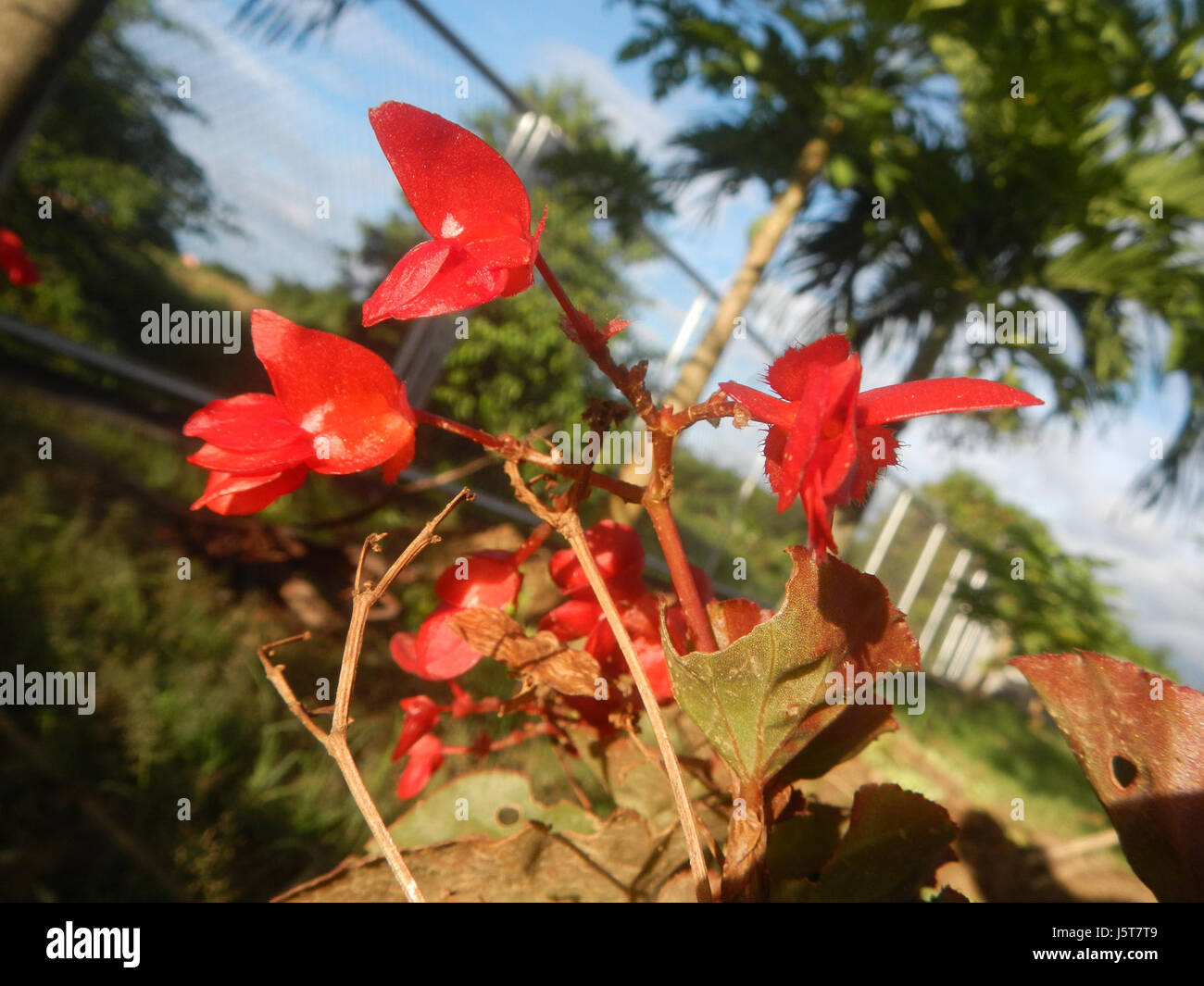 Philippines 10 hi-res stock photography and images - Alamy